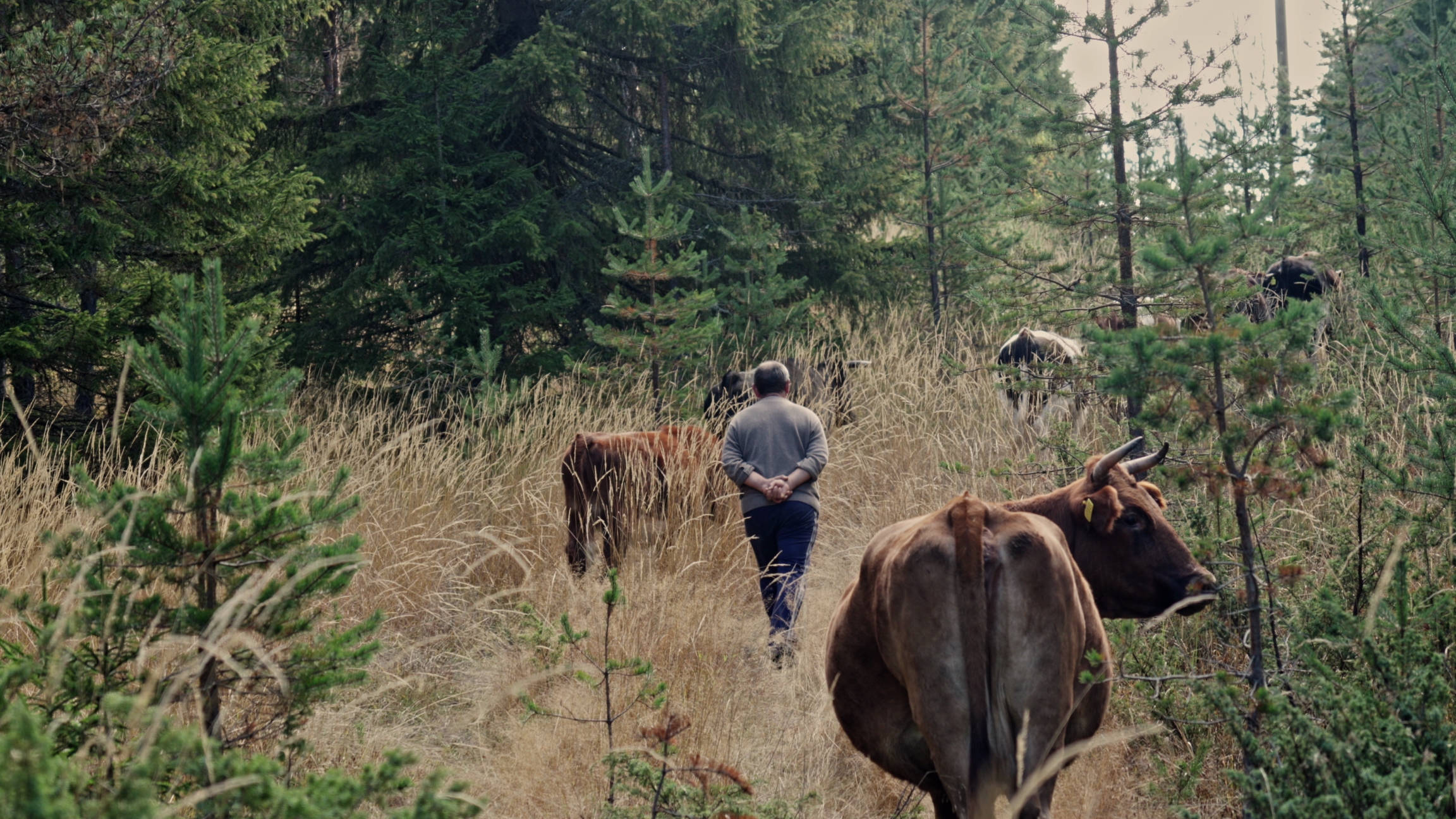 22ND IN THE PALACE AWARD WINNERS