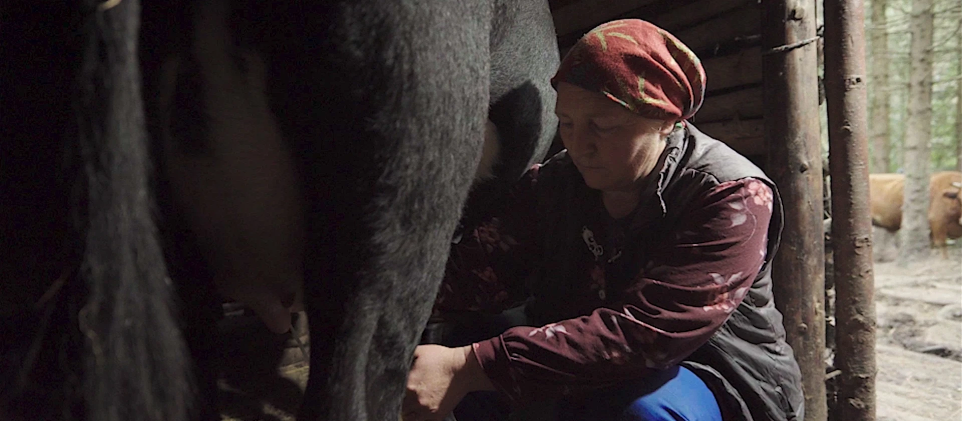 COLLECTABLE STORIES: JAR OF TIME