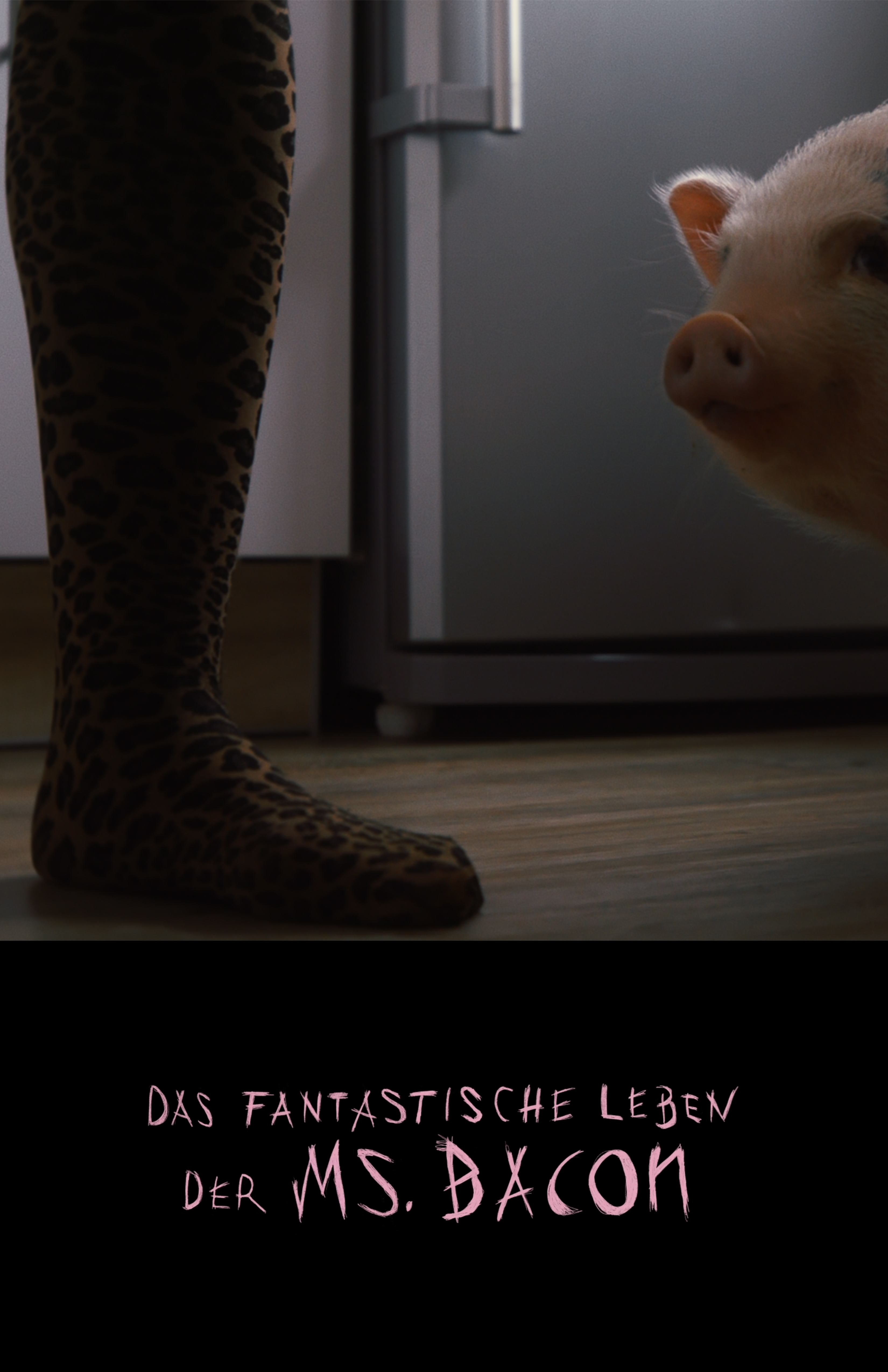 COLLECTABLE STORIES: THE FANTASTIC LIFE OF MISS BACON